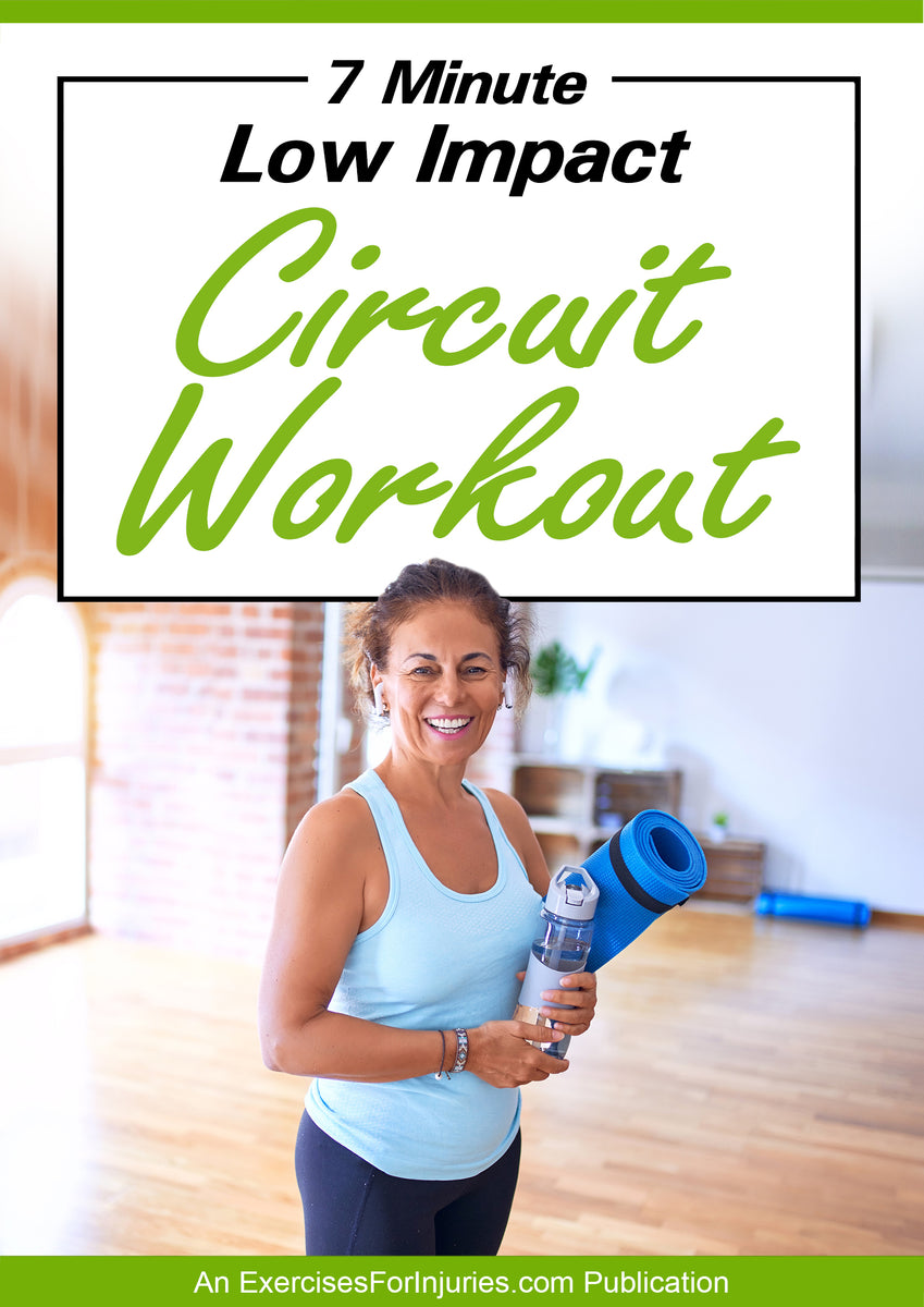 7 Minute Low Impact Circuit Workout - Digital Download (EFISP ...
